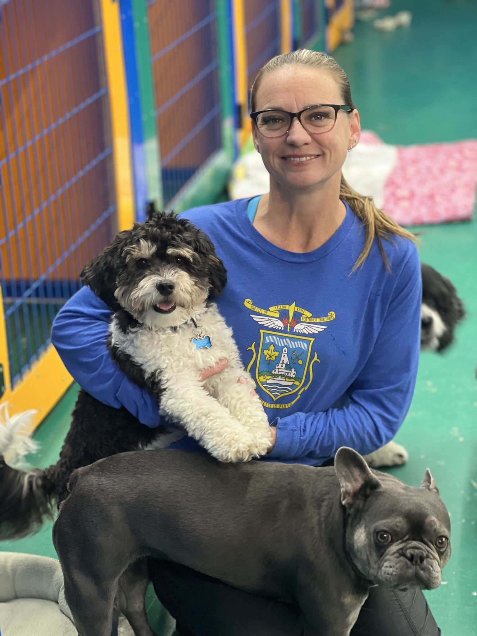 Home - Qimmiq Kennels